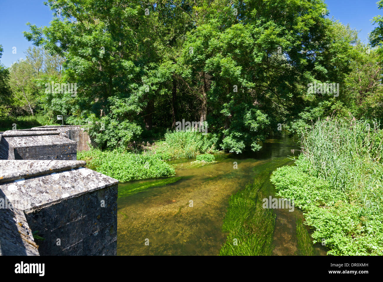 Bridge crossing the River Piddle at Briantspuddle, Dorset Stock Photo ...