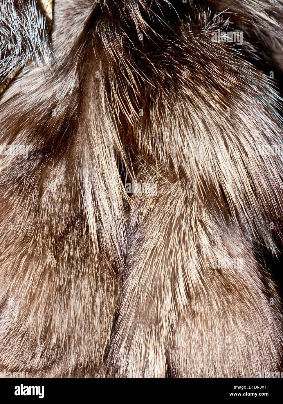 Fur texture Stock Photo - Alamy