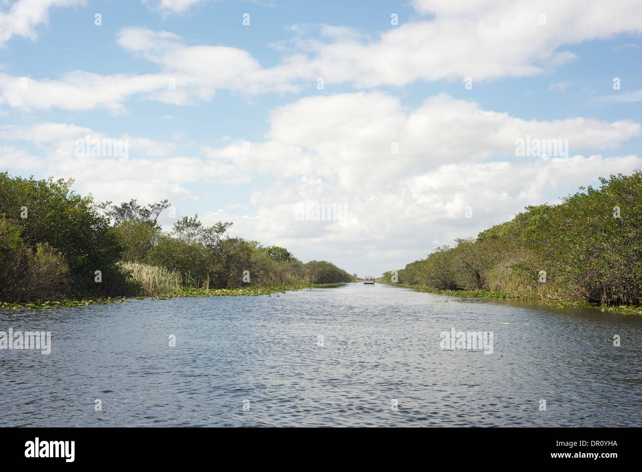 Florida everglades national park hovercraft hi-res stock photography ...