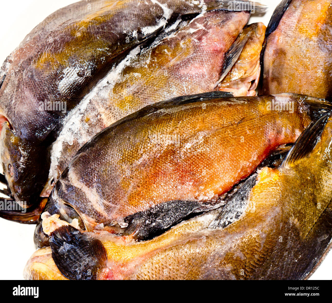 Riverfood hi-res stock photography and images - Alamy