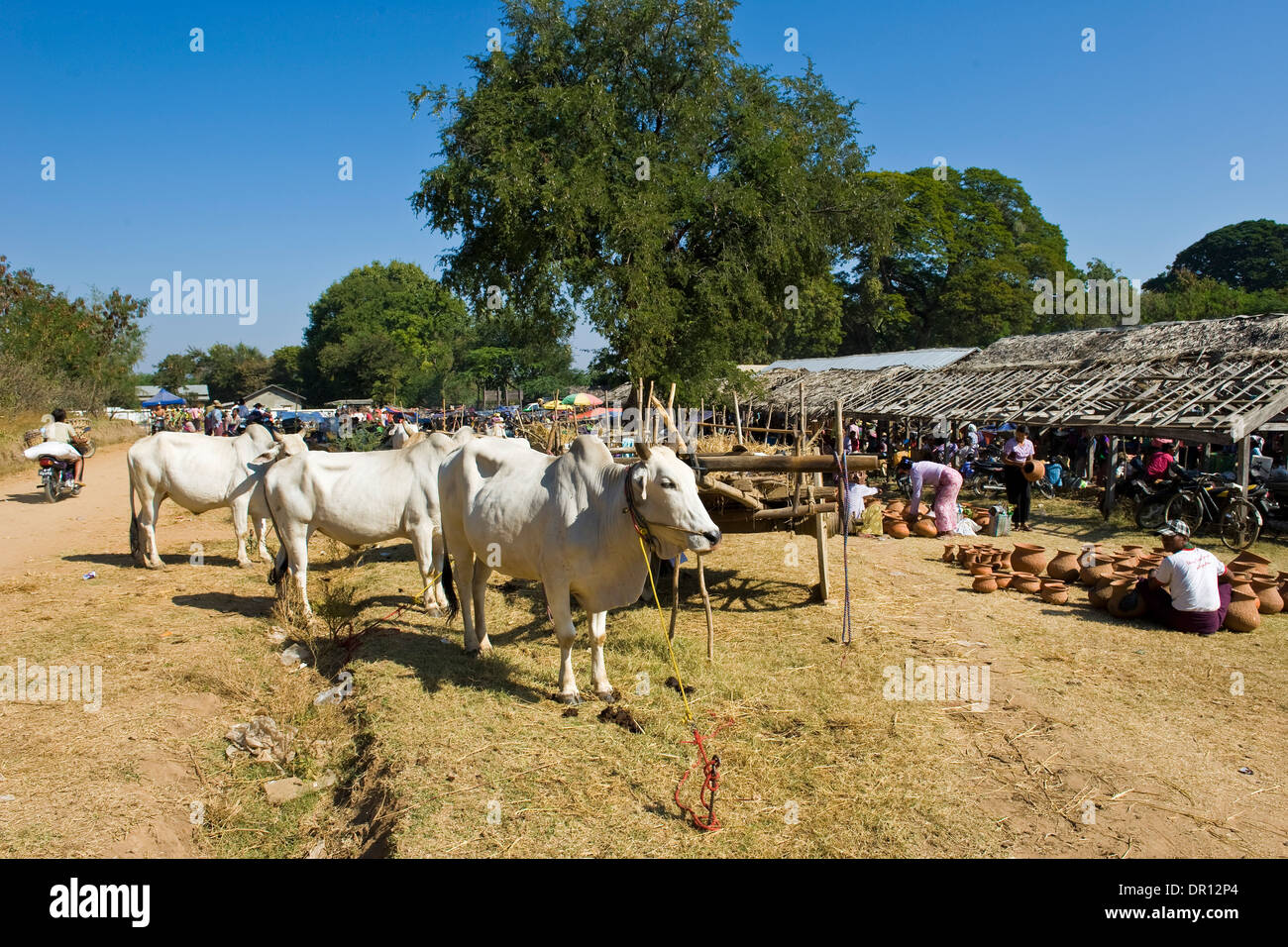 Myanmar, Bagan, local market Stock Photo - Alamy