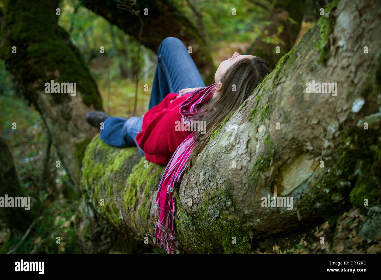 Girl Lying Tree Branch High Resolution Stock Photography and Images - Alamy