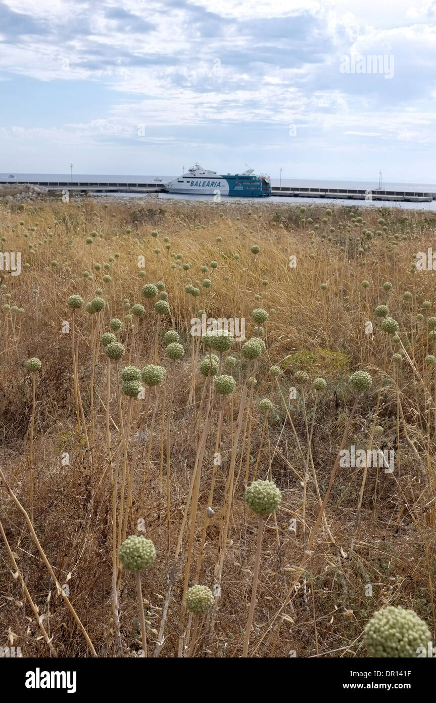 Ciuta della port hi-res stock photography and images - Alamy