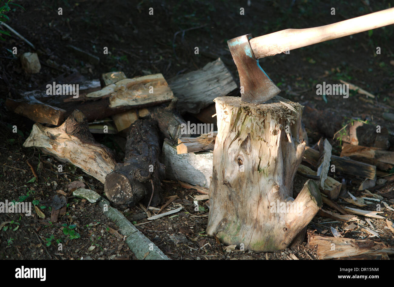 Axe Cut into Wood after Chopping Firewood Stock Photo - Alamy
