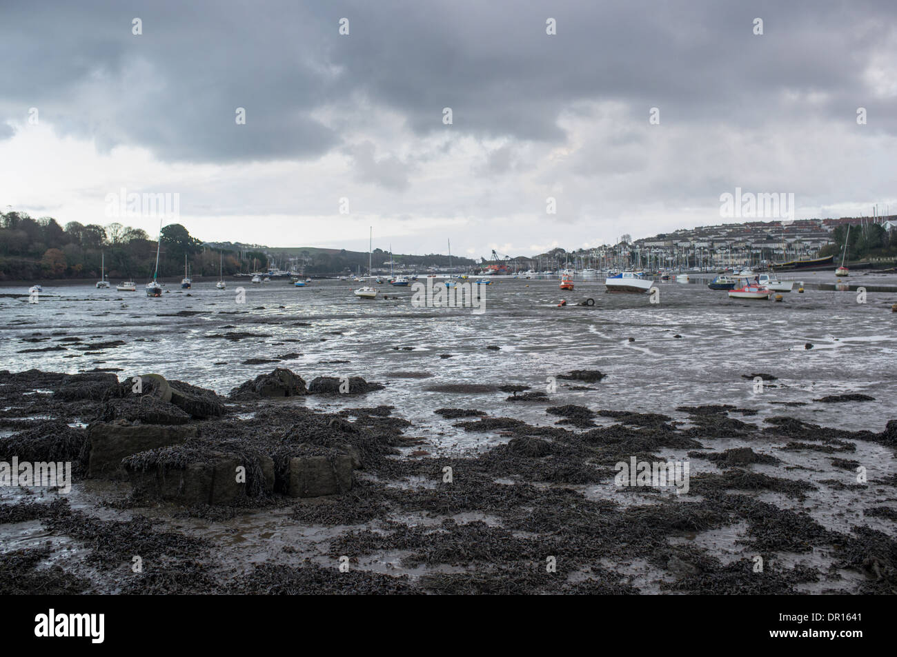 Penryn river hi-res stock photography and images - Alamy