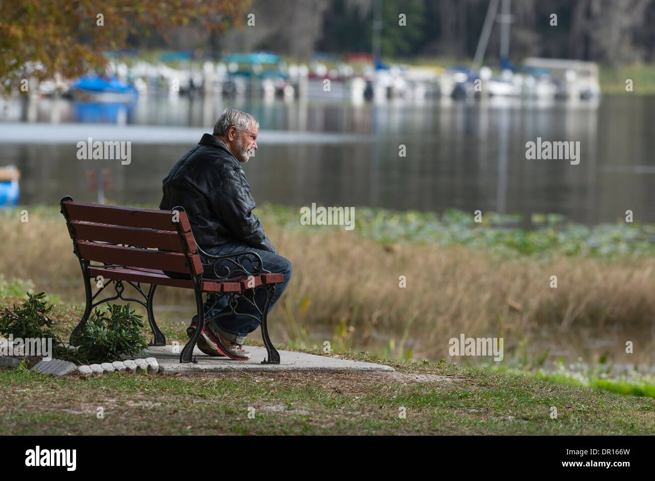 A man sitting alone on a Park bench in Leesburg Florida Stock Photo - Alamy