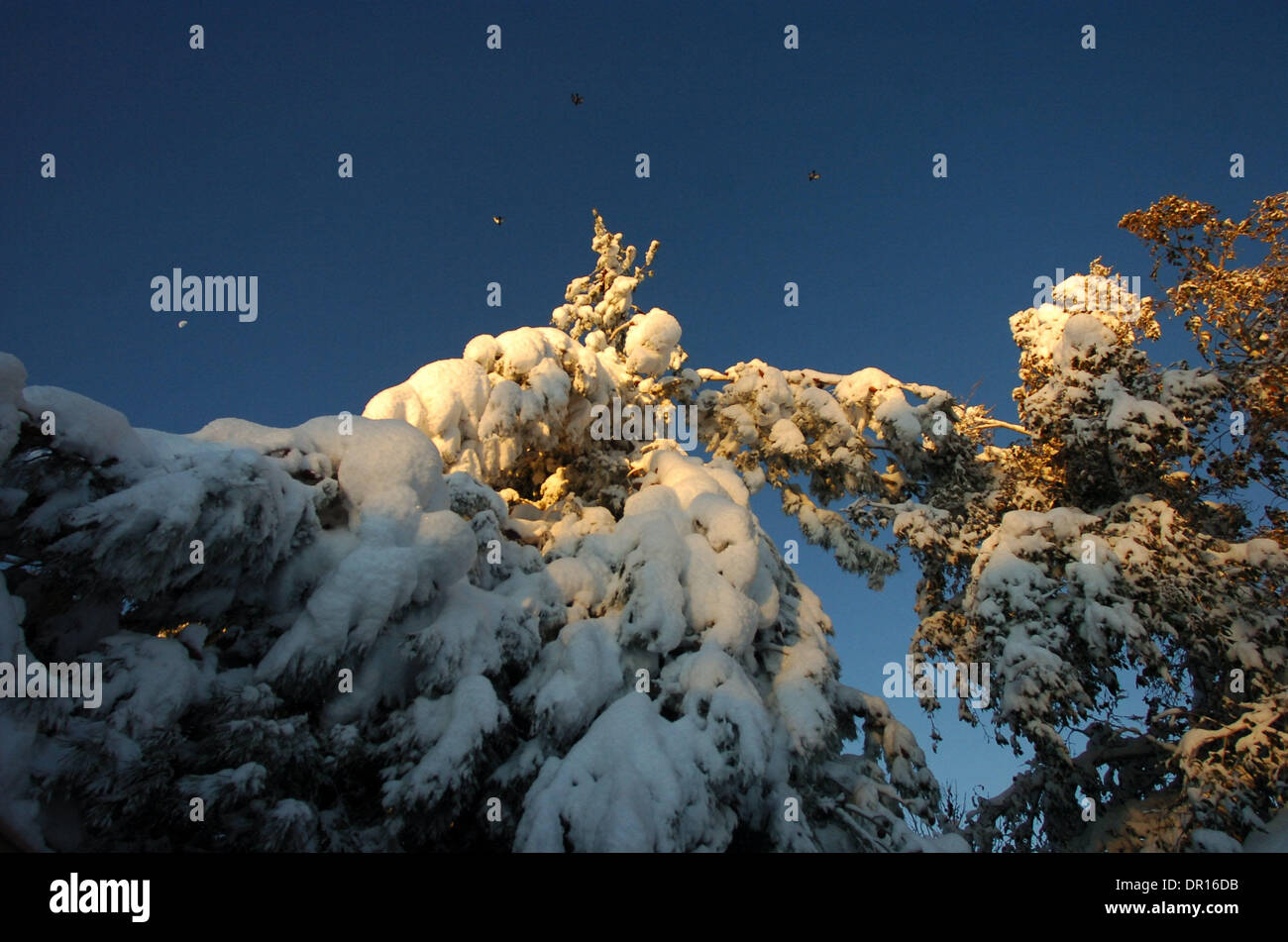 Victorville, ca hi-res stock photography and images - Alamy