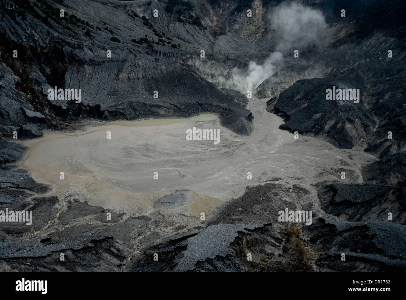 Feb 22, 2009 - Bandung, Indonesia - The crater of Tangkuban Perahu, an ...