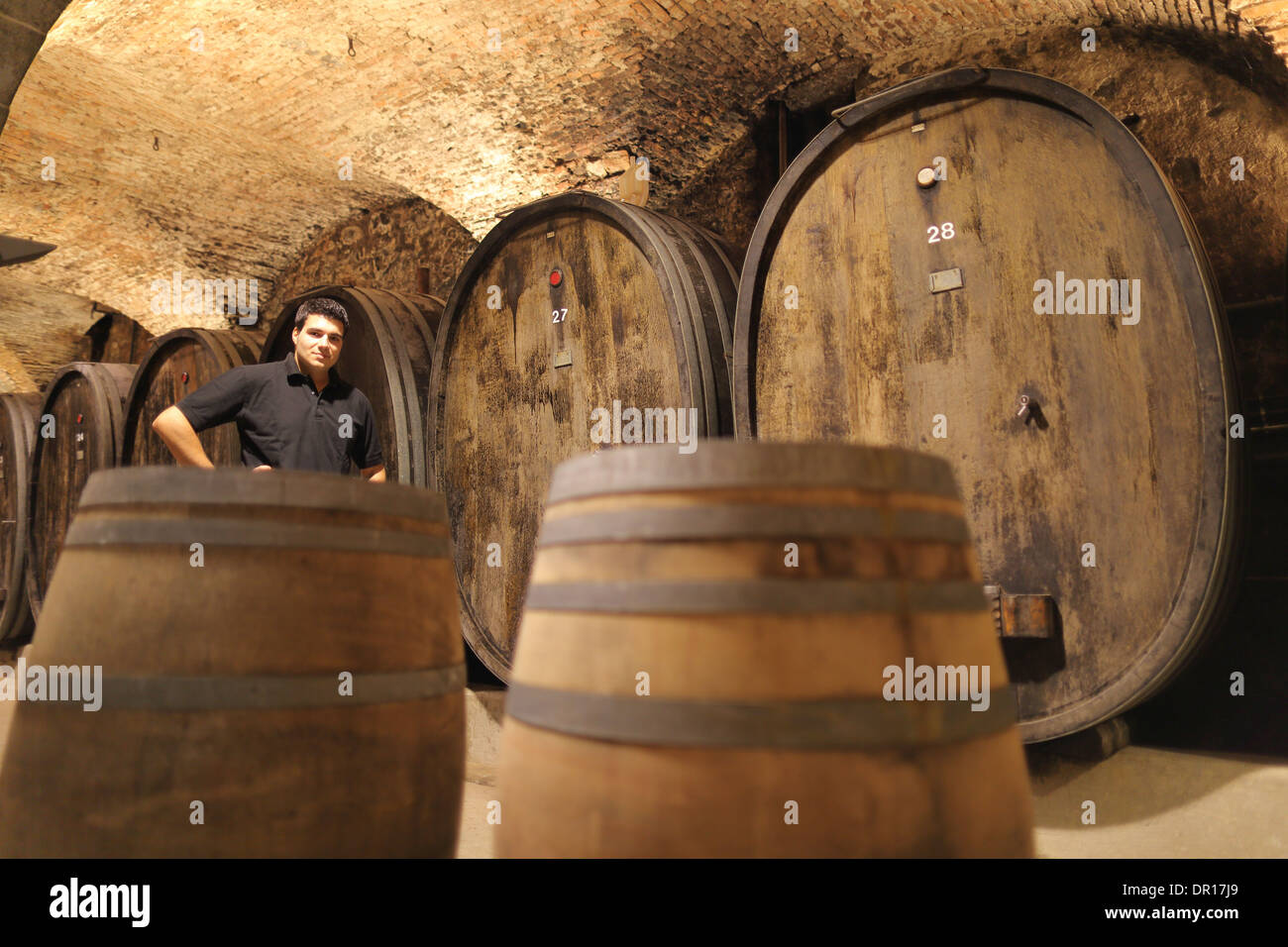 Cellarmaster Cellarer in a wine cellar Stock Photo - Alamy