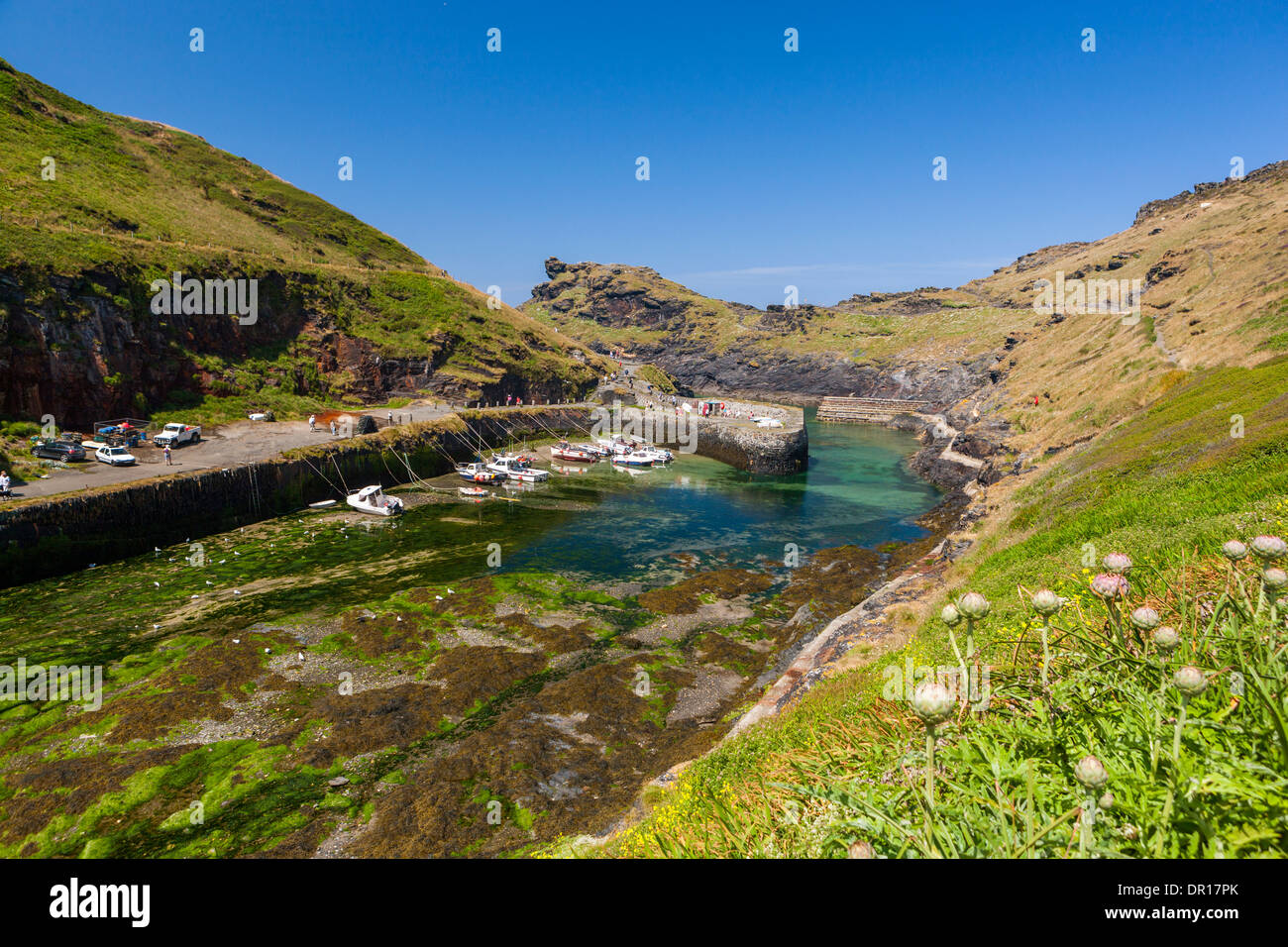 Boscastle_harbour hi-res stock photography and images - Alamy