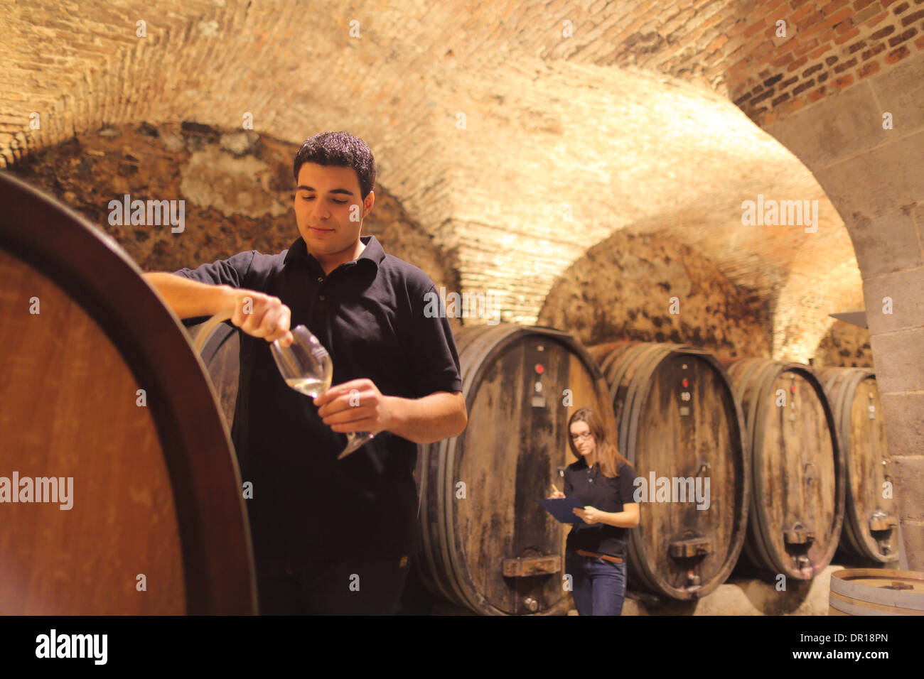 cellarmaster controlling wine in a wine cellar Stock Photo - Alamy