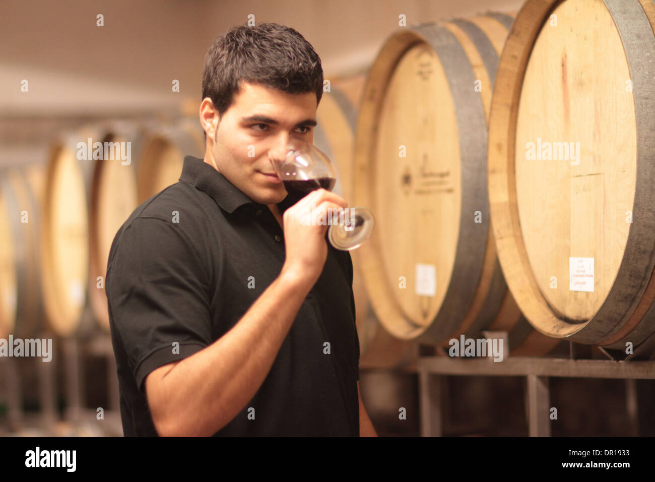 Cellarmaster hi-res stock photography and images - Alamy