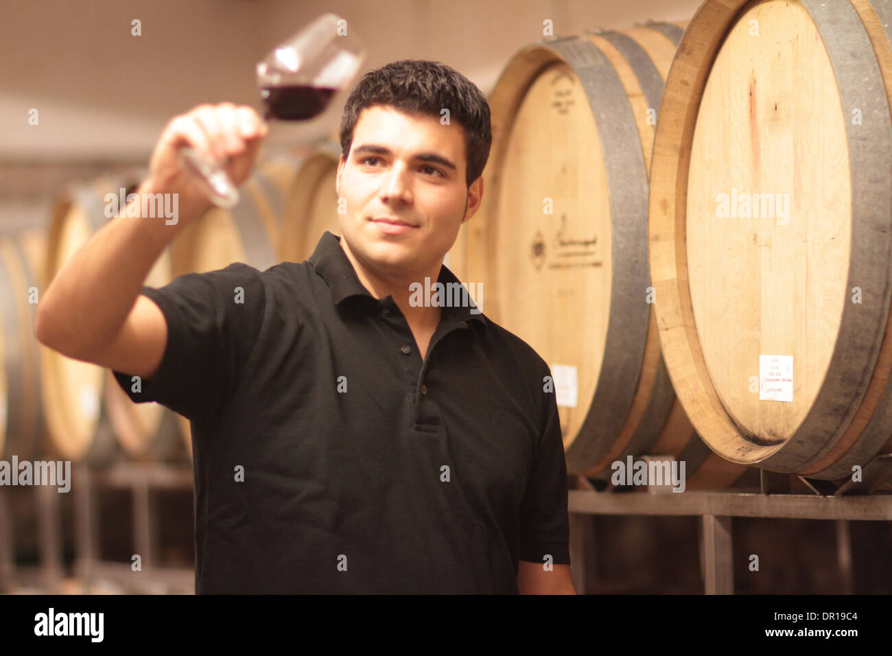 Cellarmaster Cellarer in a wine cellar Stock Photo - Alamy