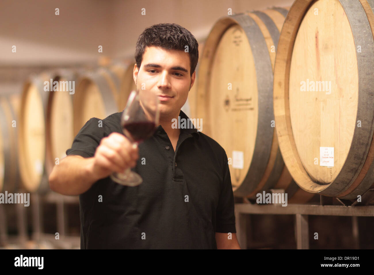 Cellarmaster Cellarer in a wine cellar Stock Photo - Alamy