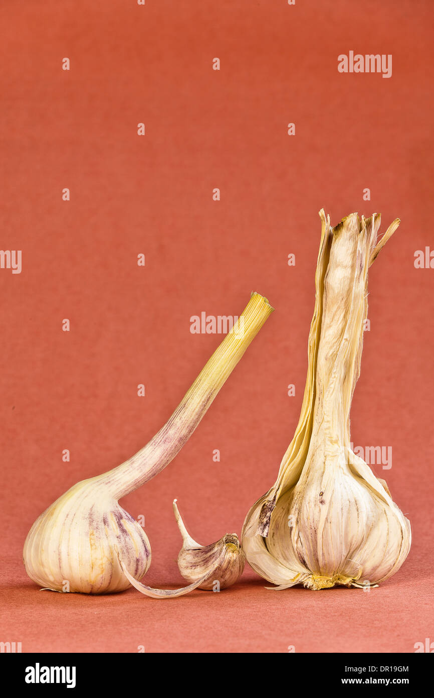 Head to toe shot hi-res stock photography and images - Alamy