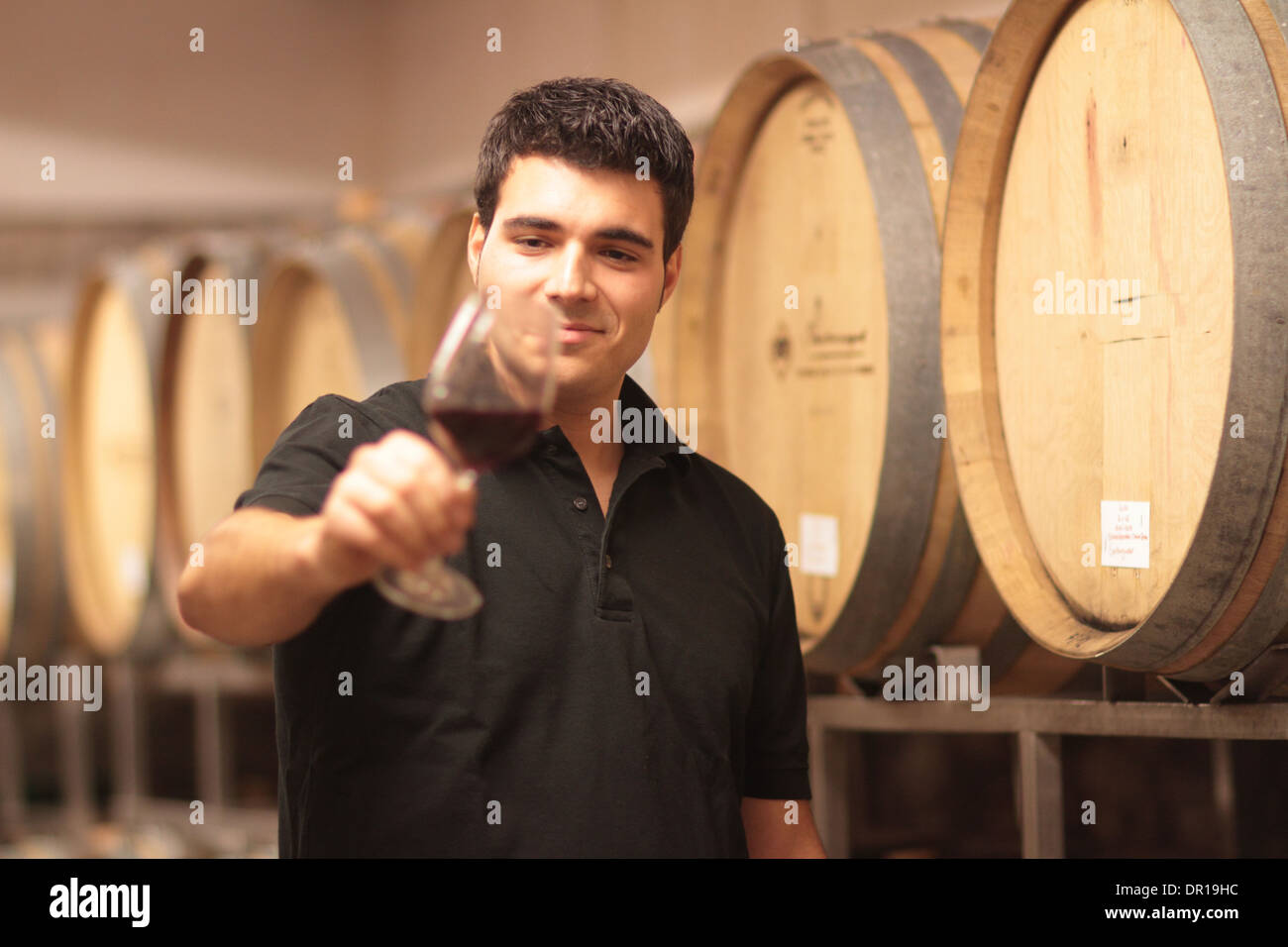Cellarmaster Cellarer in a wine cellar Stock Photo - Alamy