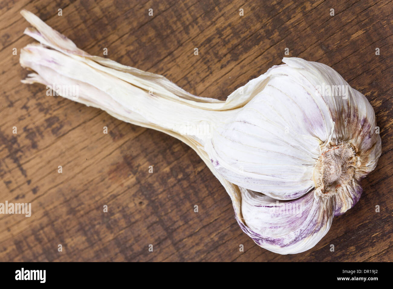 Taste bulb hi-res stock photography and images - Alamy