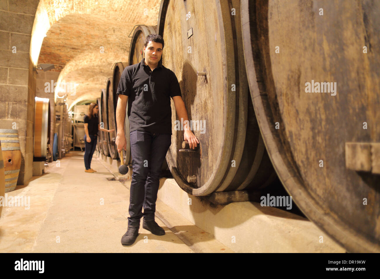 cellarmaster controlling wine in a wine cellar Stock Photo - Alamy