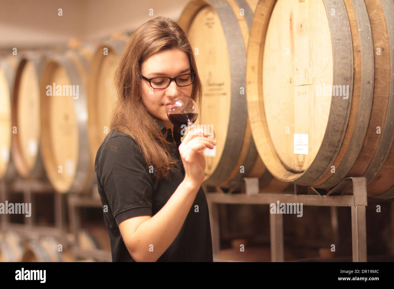 Cellarer controlling wine in a wine cellar Stock Photo - Alamy