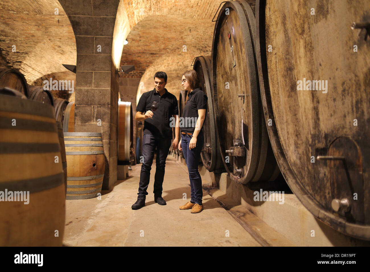 cellarmaster controlling wine in a wine cellar Stock Photo - Alamy