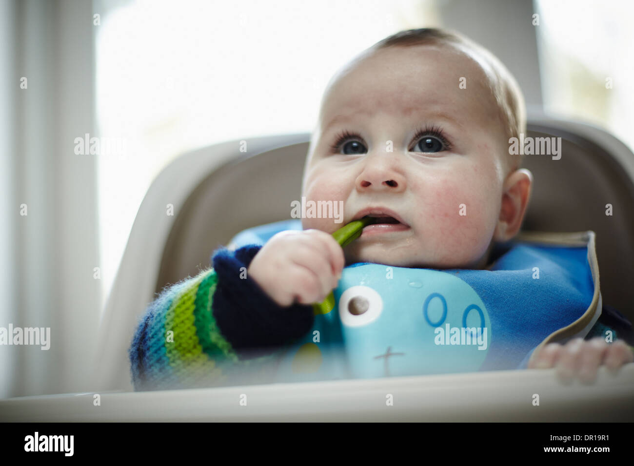 A baby around 5 and a half months eats a green vegetable as part of ...