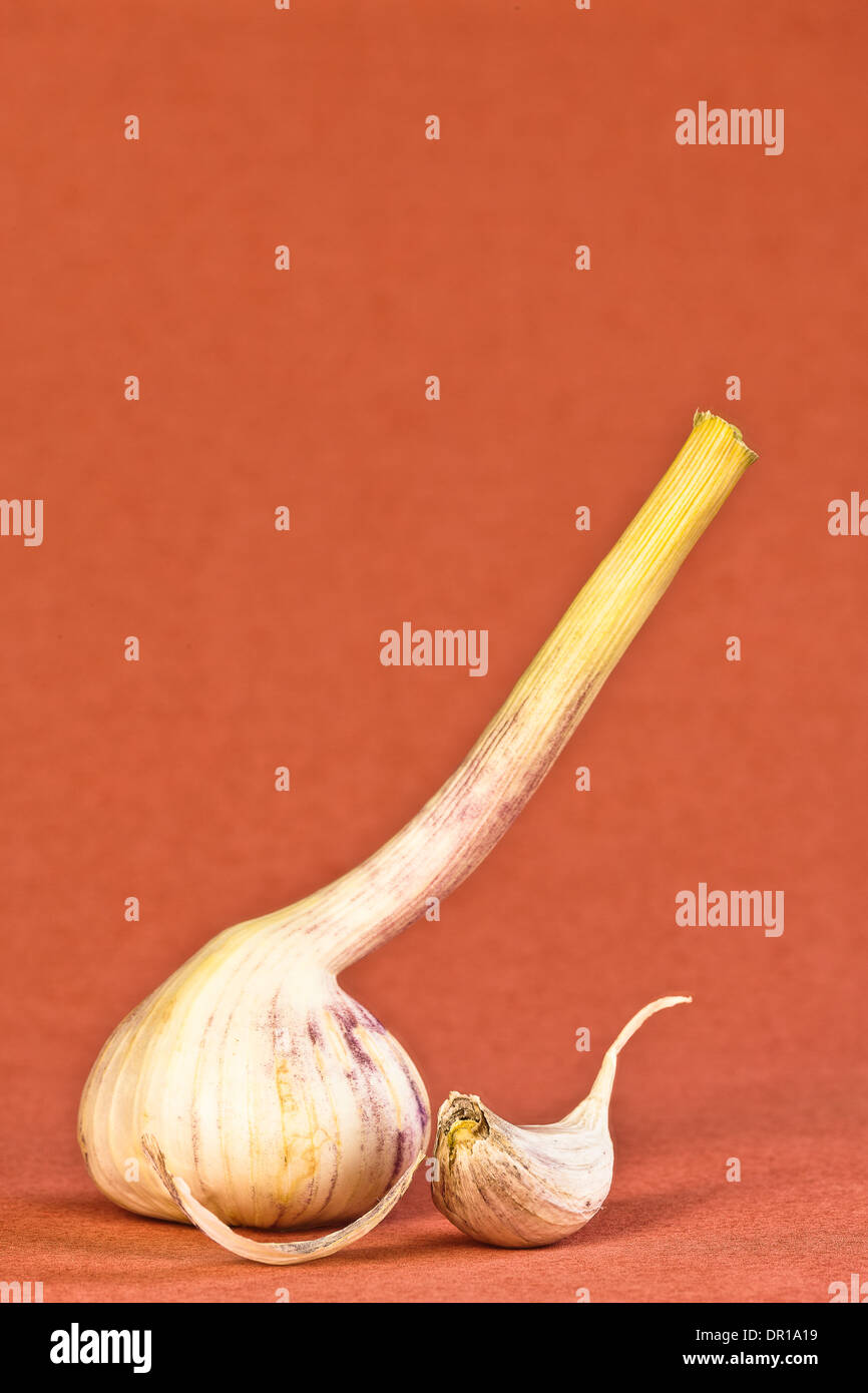 Head of garlic with toe Stock Photo - Alamy