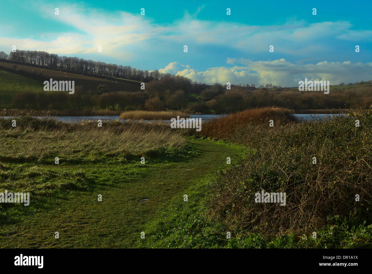 Devon lake hi-res stock photography and images - Alamy