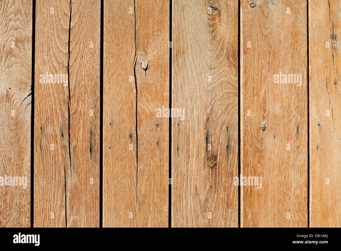 Wooden pine boards lying together in brown color with lines and annual ...