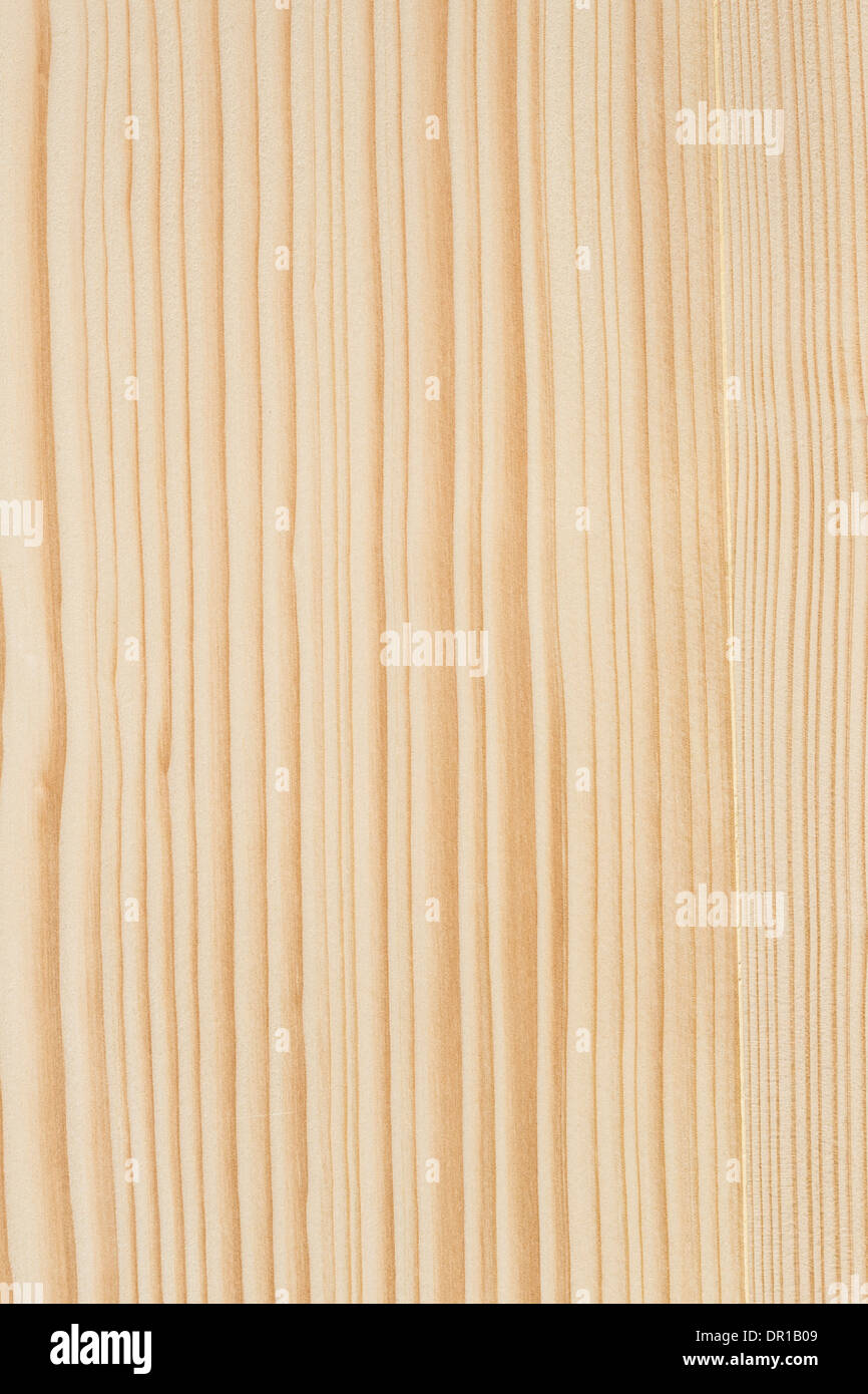 Annual rings of pine tree in different sizes in yellow color Stock ...