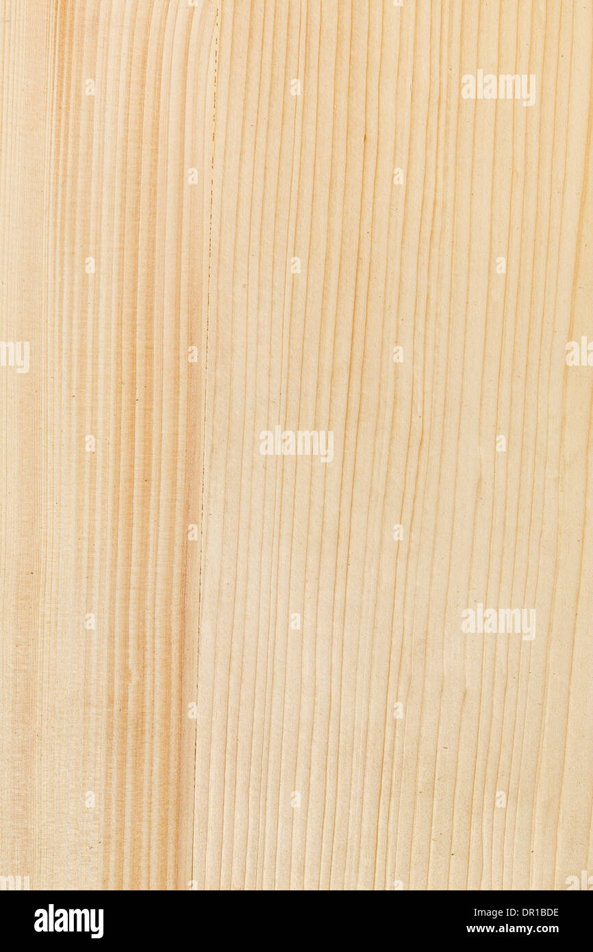 Annual rings of pine tree in different sizes in yellow color Stock ...