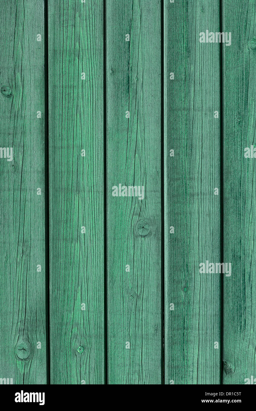 Wooden pine boards lying together in green color with lines and knots ...