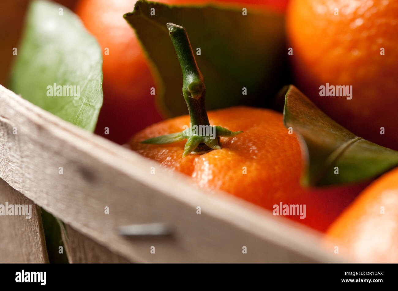 oranges in wooden box Stock Photo - Alamy