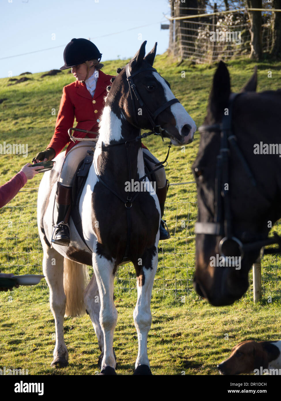 Barlow hunt hi-res stock photography and images - Alamy