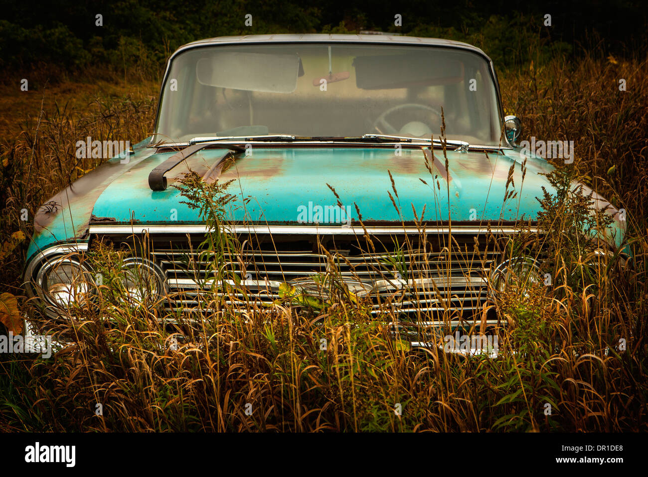 Vintage car parked in tall grass Stock Photo - Alamy