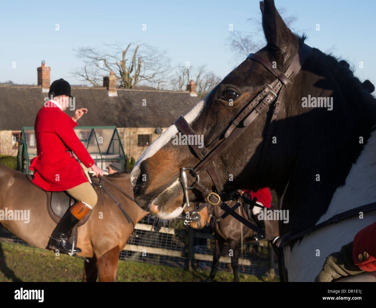 Barlow hunt hi-res stock photography and images - Alamy