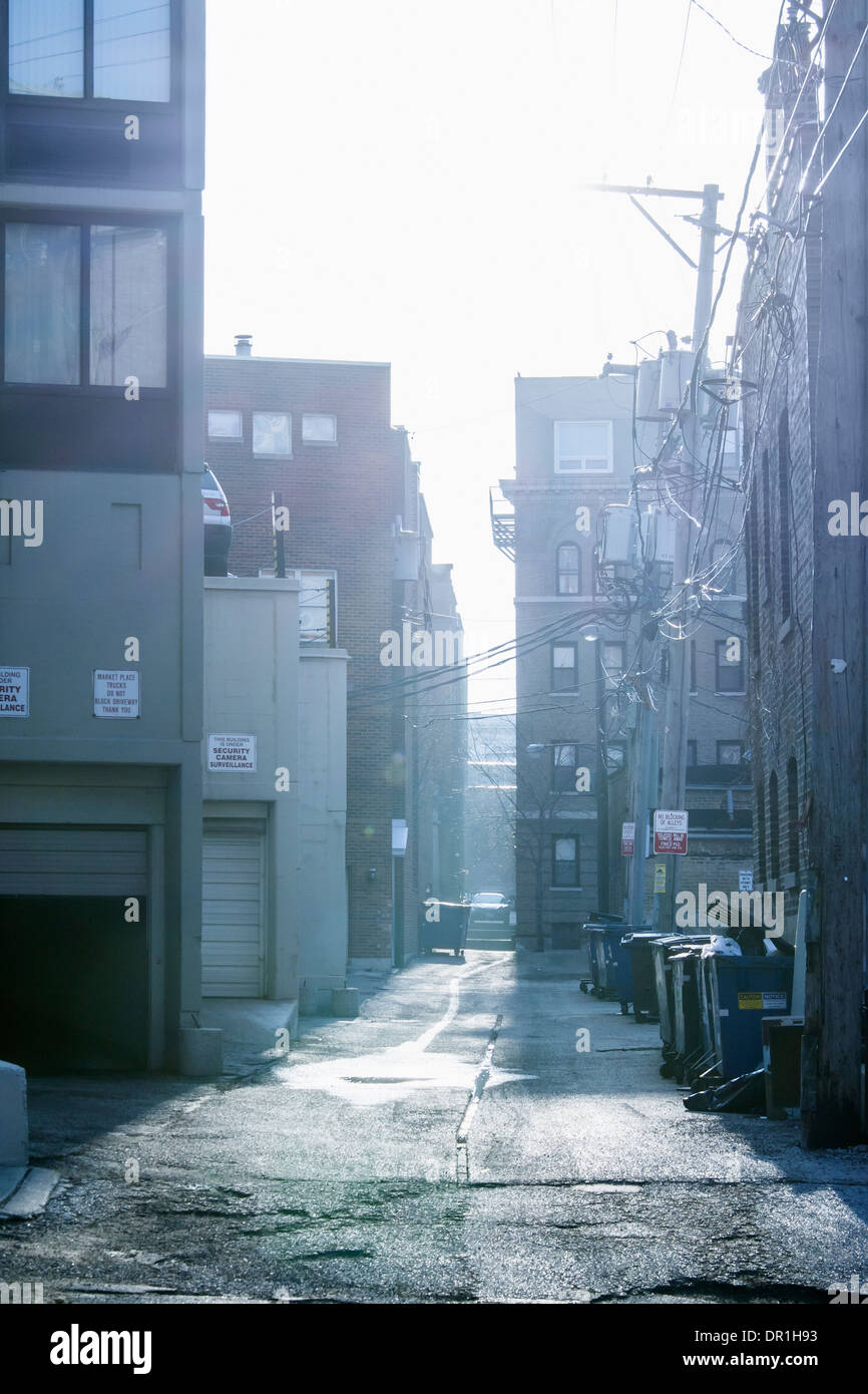 Garbage cans in urban alleyway, Chicago, Illinois, United States Stock ...