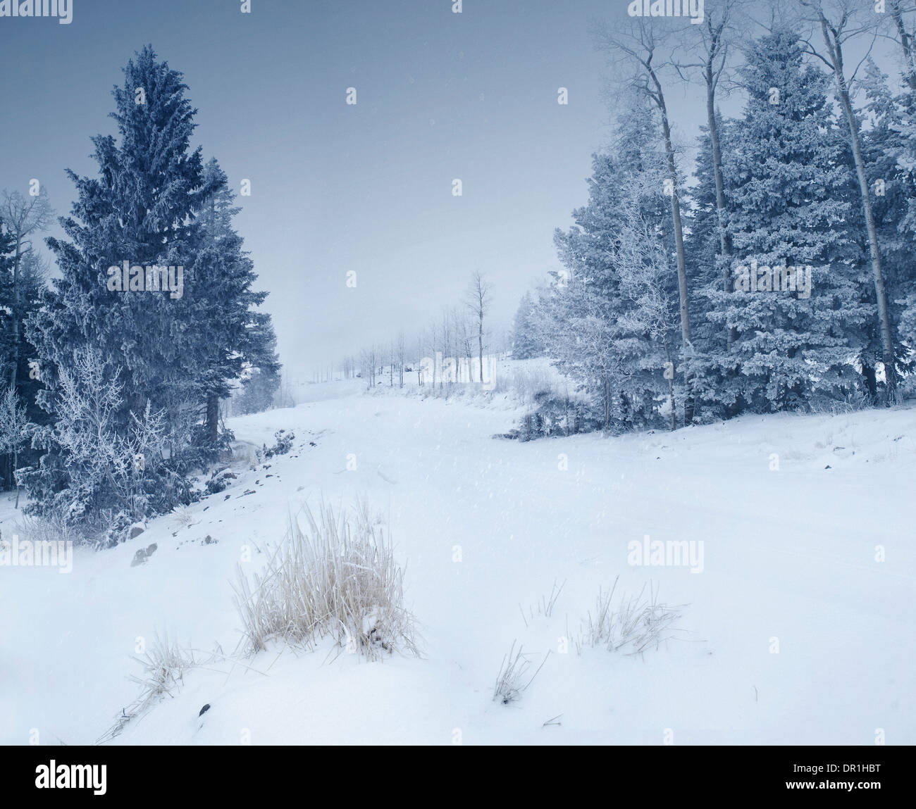 Snowy landscape photography hi-res stock photography and images - Alamy