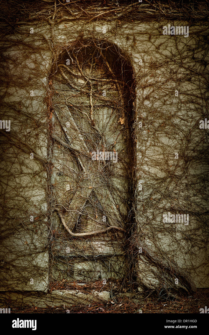 Door of the dead hi-res stock photography and images - Alamy