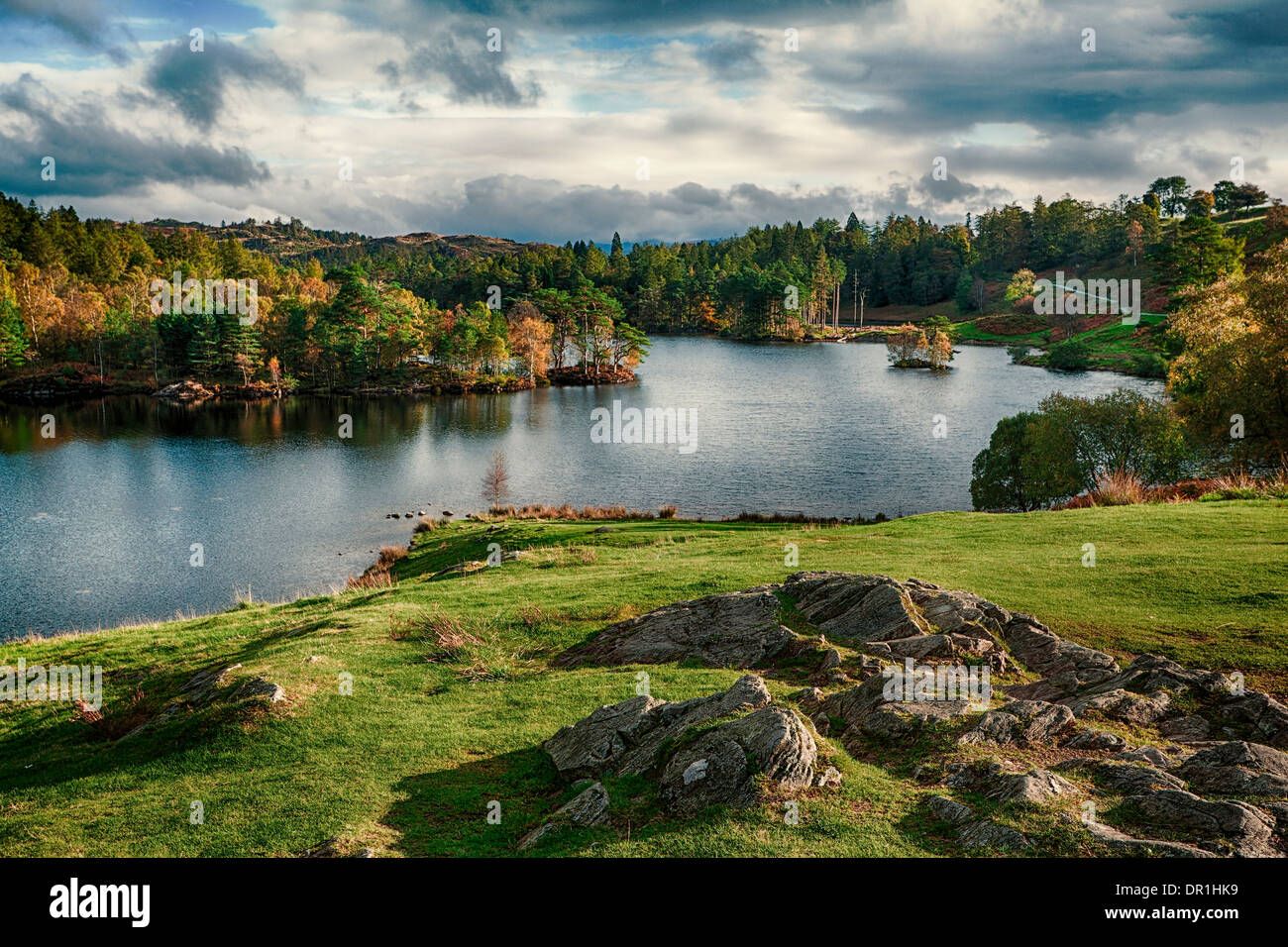 Tarn Hows, near Hawkshead, Lake District, England Stock Photo - Alamy