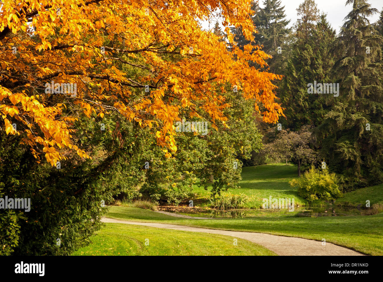 WASHINGTON - Fall time along a trail through the Washington Park ...