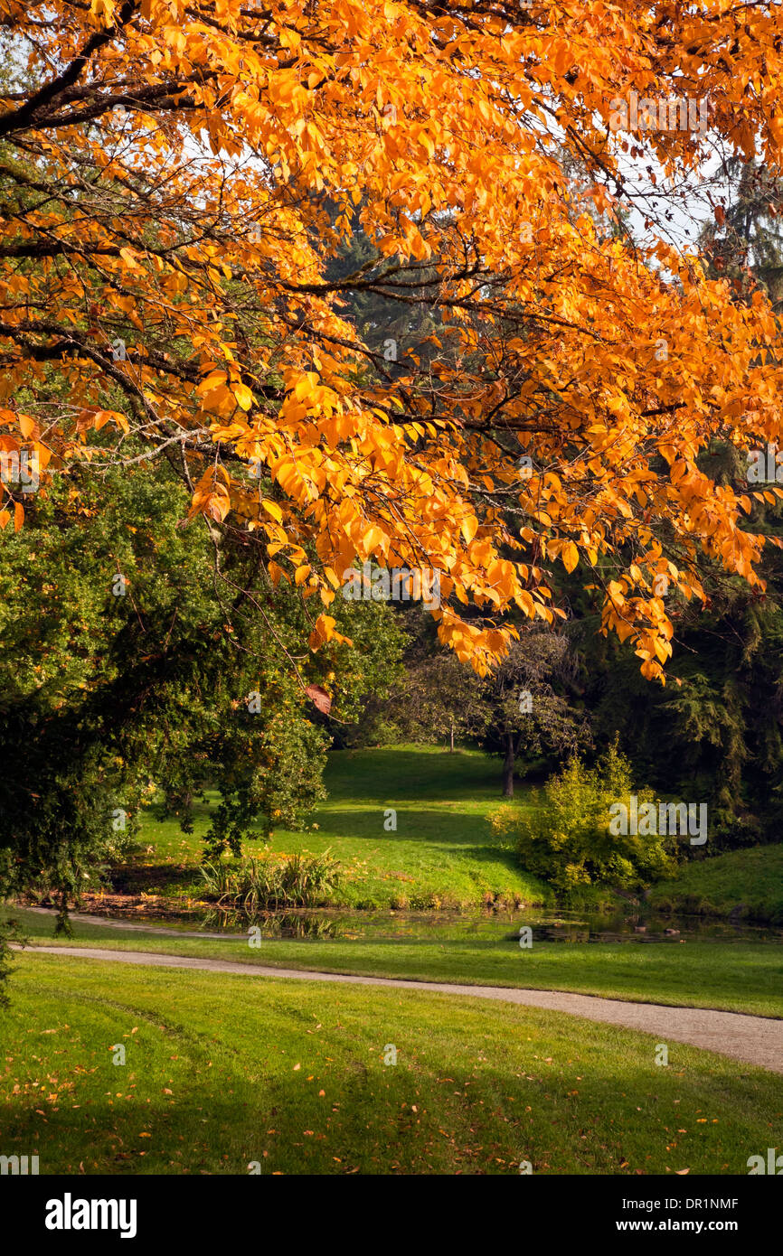 WASHINGTON - Fall time along a trail through the Washington Park ...