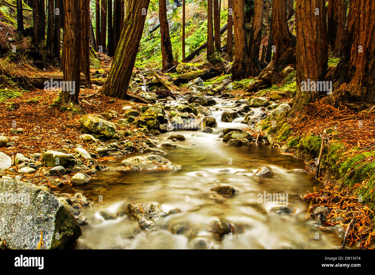 Big hare trail hi-res stock photography and images - Alamy