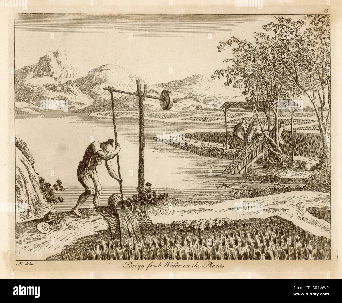 RICE IN CHINA - 3 Stock Photo - Alamy