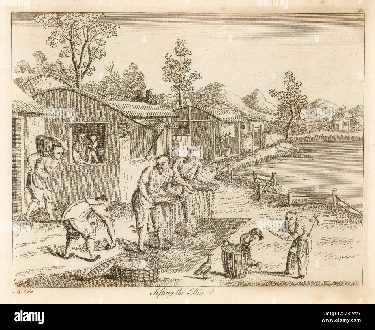 RICE IN CHINA - 8 Stock Photo - Alamy