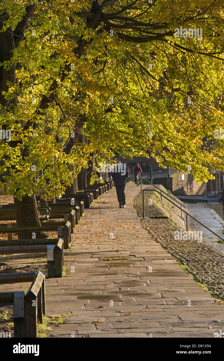 Man walking alone, along a quiet, scenic, sunlit, tree-lined riverside ...