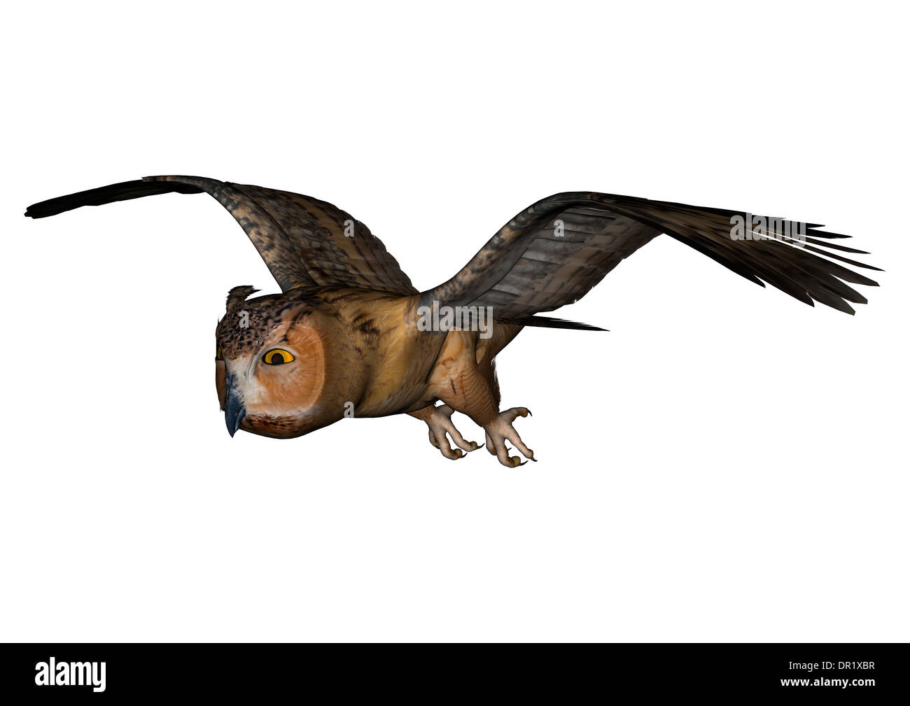 3D digital render of a flying night owl isolated on white background ...