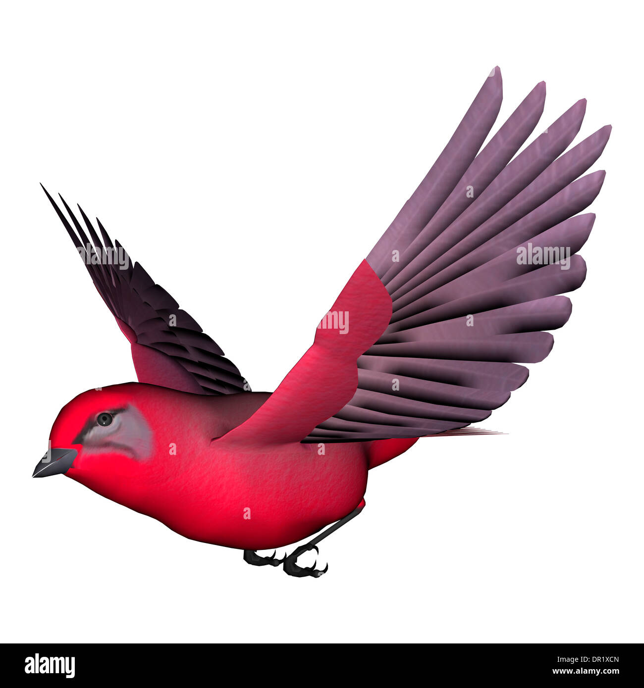 3d digital render of a songbird tanager isolated on white background Stock Photo - Alamy