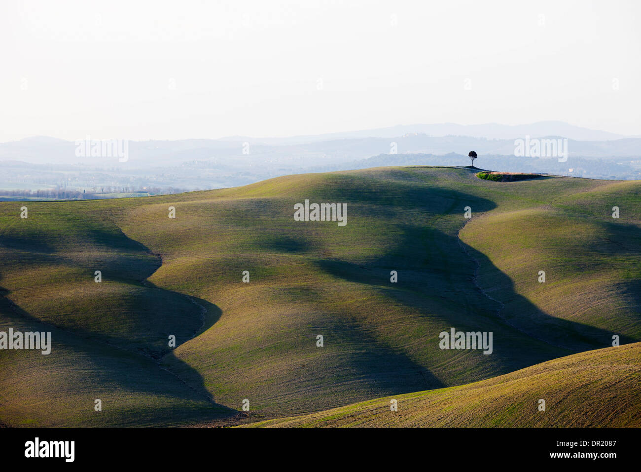 landscape, crete senesi, siena, tuscany, italy, europe Stock Photo - Alamy
