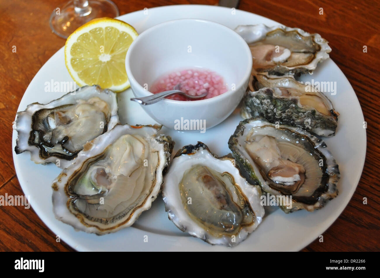 Native oysters hi-res stock photography and images - Alamy