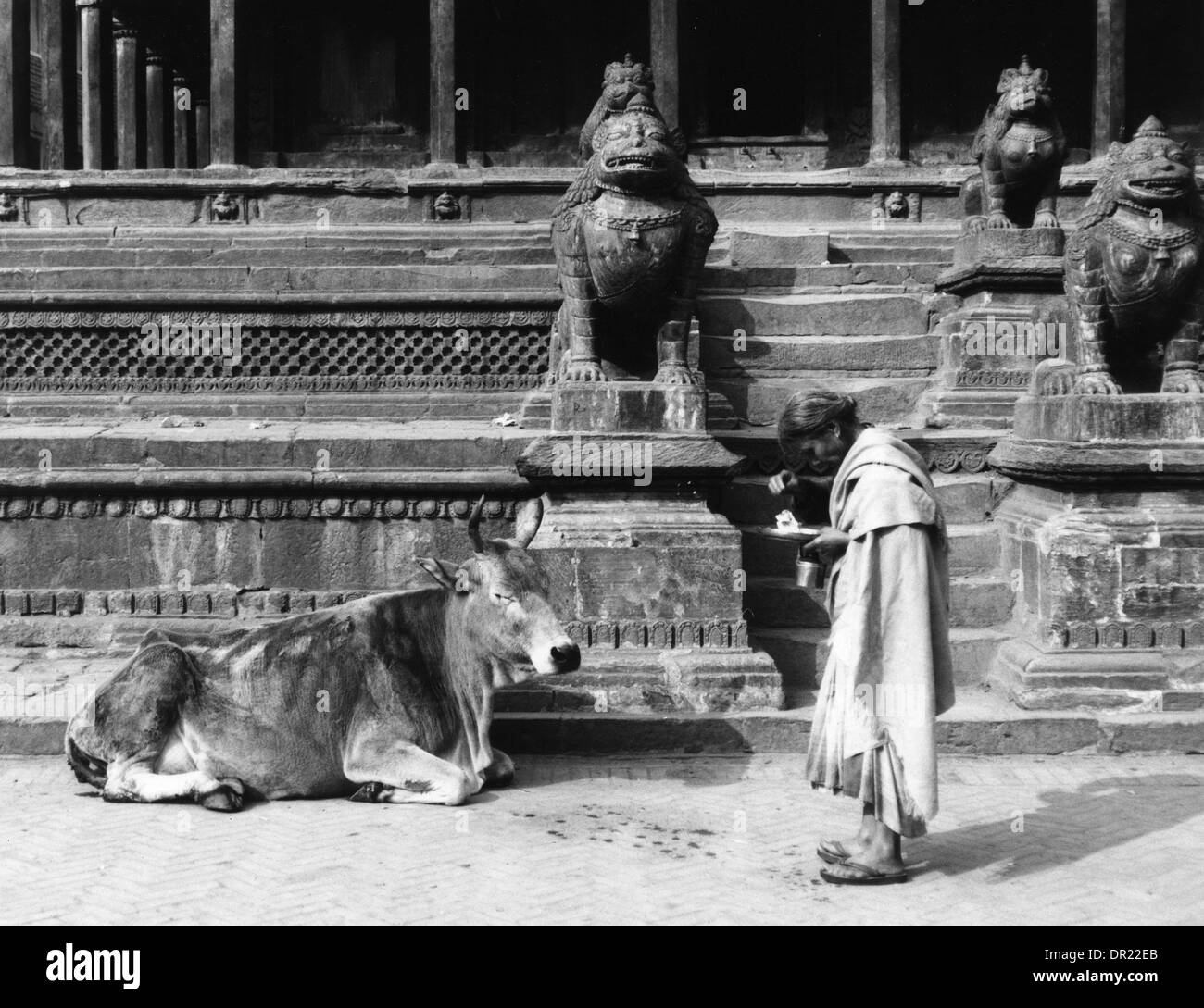 Nepal animals Black and White Stock Photos & Images - Alamy